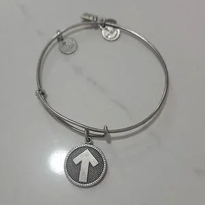 Alex and Ani | Jewelry | Alex And Ani Silver Tone Stand Up 2 Cancer And ...